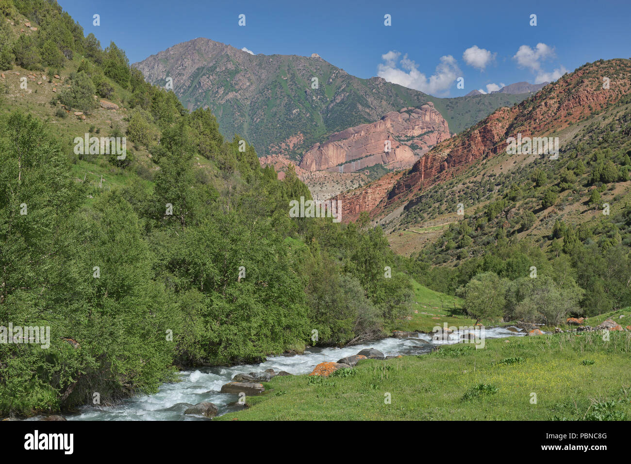 Beautiful river valley on the Heights of Alay route, Alay, Kyrgyzstan ...