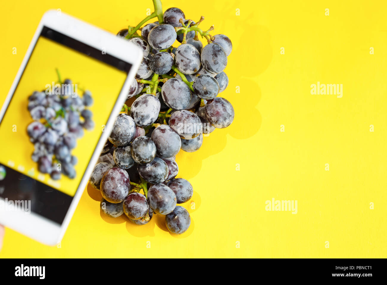 A string of black grapes is on a yellow background Stock Photo - Alamy