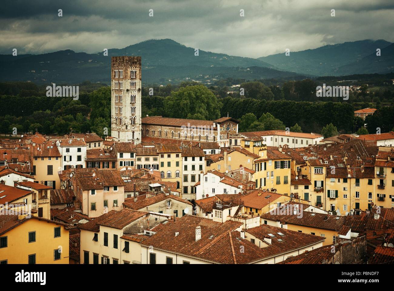 Lucca skyline with tower and cathedral in Italy Stock Photo - Alamy