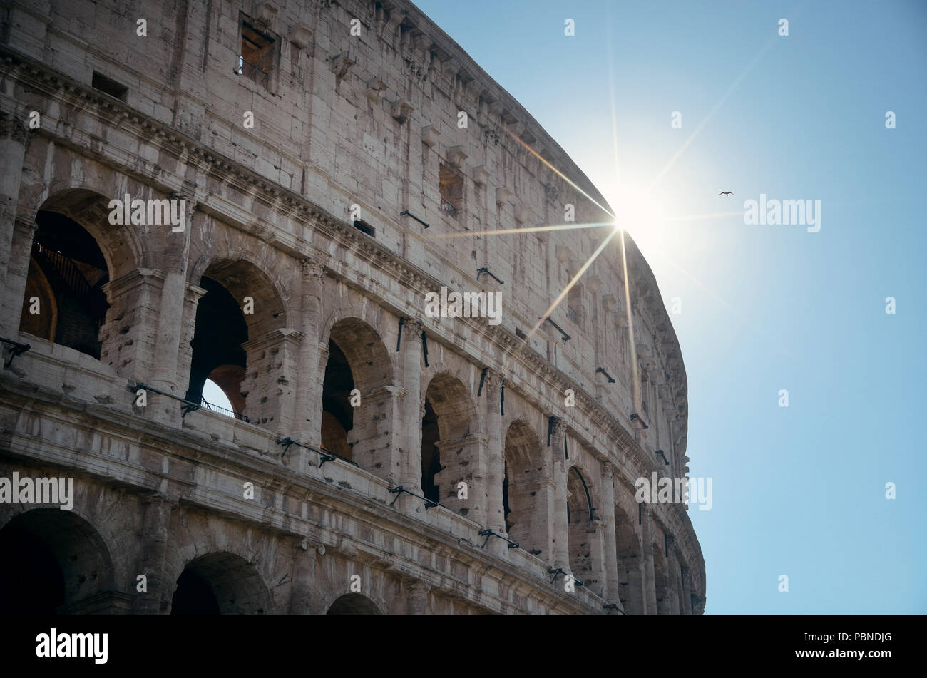 Colosseum in Rome at sunrise Stock Photo - Alamy