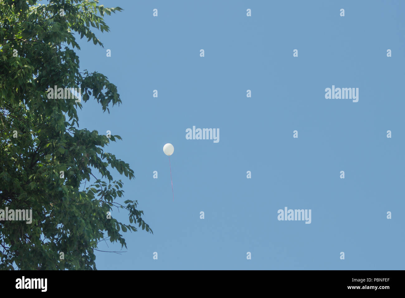 Floating above trees hi-res stock photography and images - Alamy