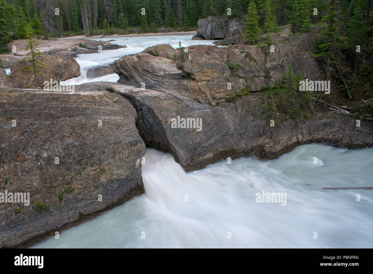 Natural Bridge in Yoho National Park, British Columbia, Canada Stock ...