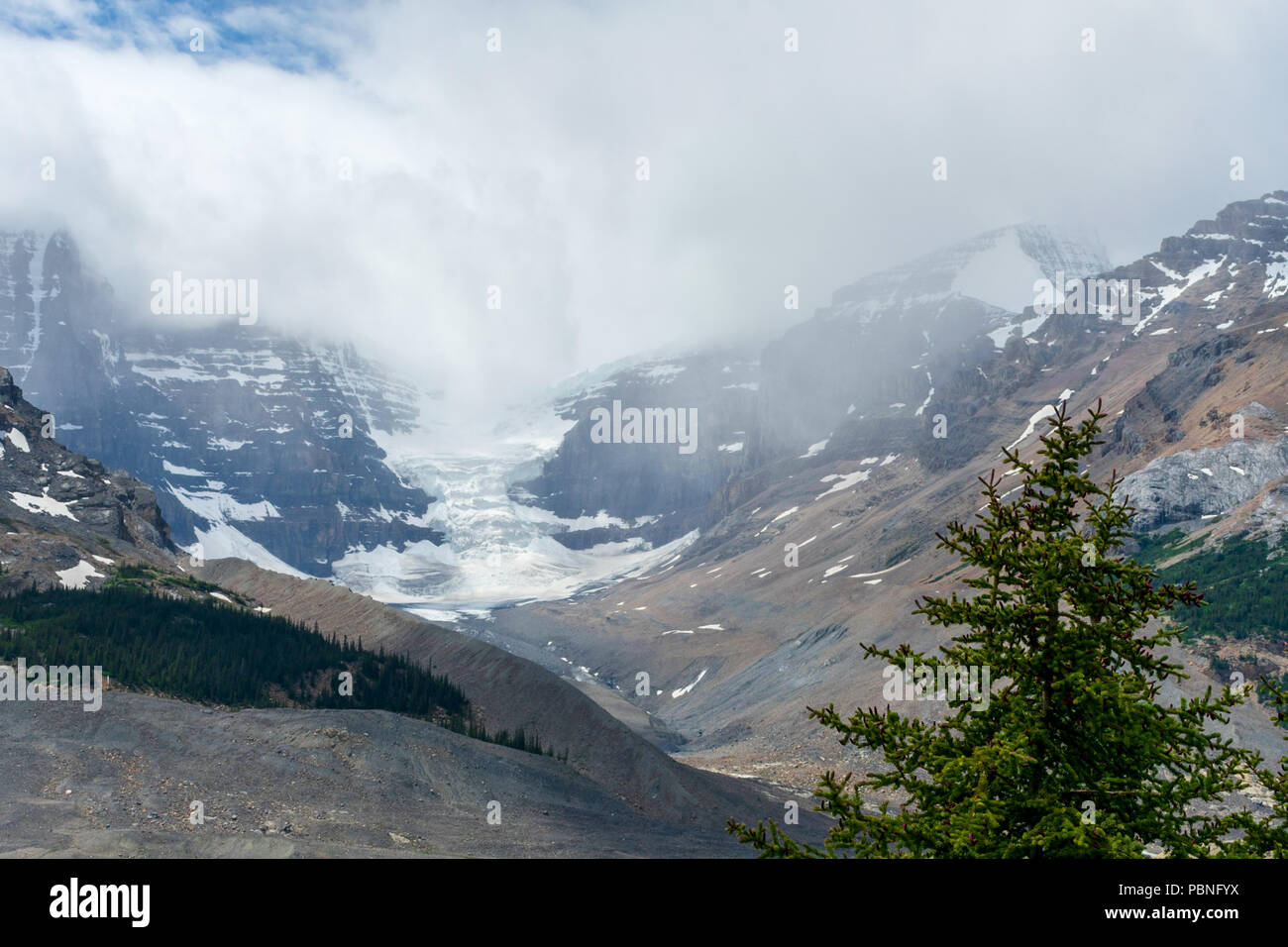 Columbia Icefield, Alberta, Canada Stock Photo - Alamy