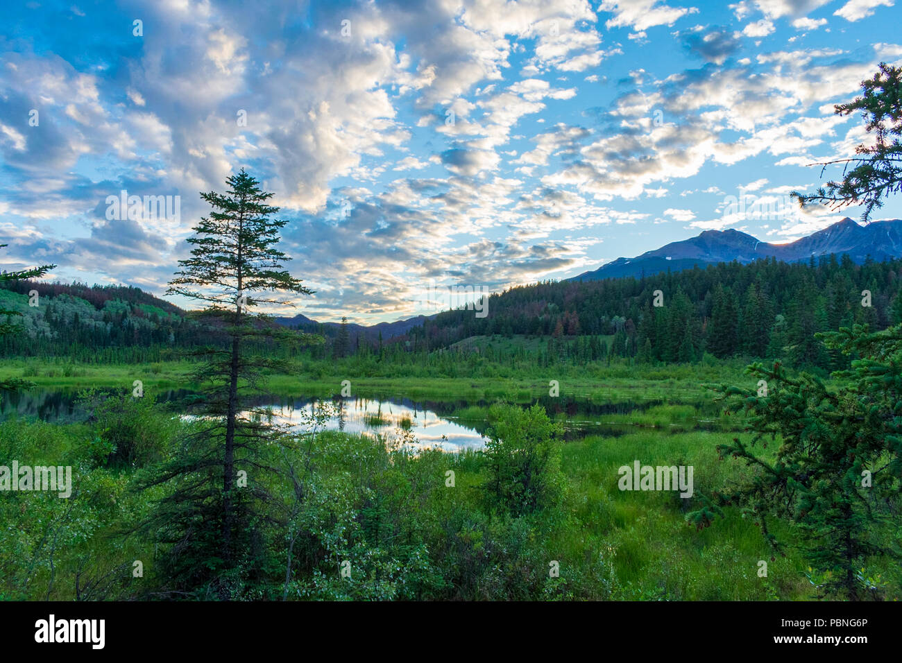 Jasper National Park, Alberta, Canada Stock Photo - Alamy
