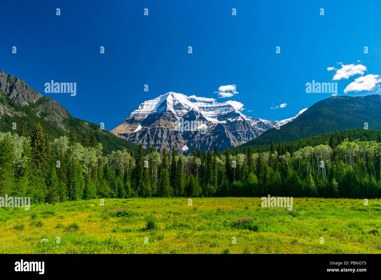 Mount Robson Standing Tall, British Columbia, Canada Stock Photo - Alamy
