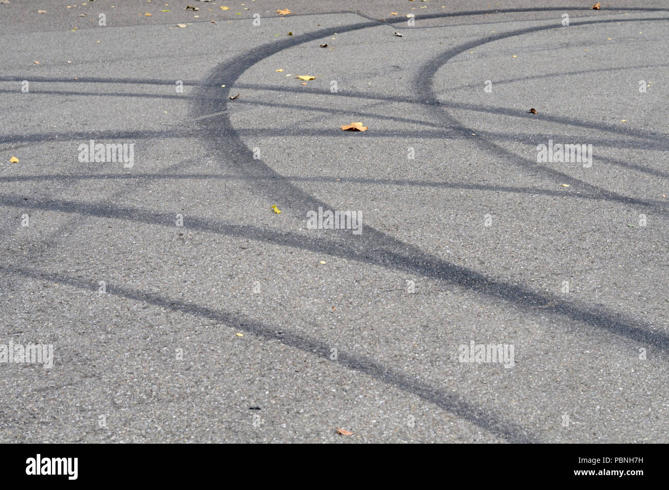 curved black skid marks on asphalt road with dry maple leaves Stock ...