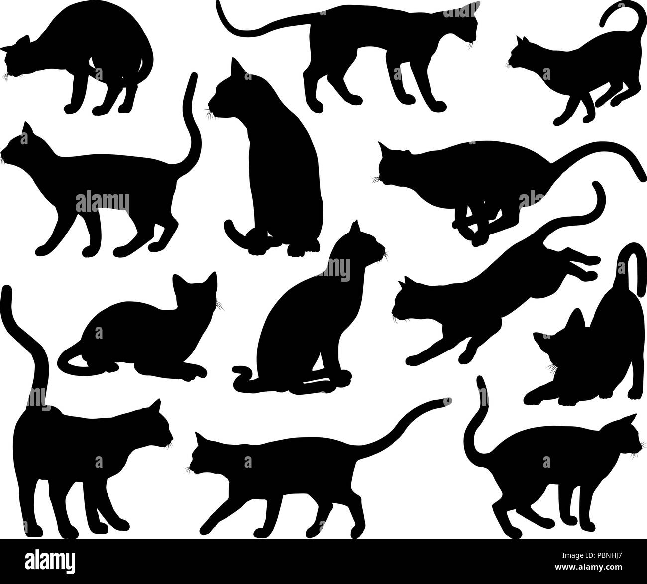 Set white cat background Stock Vector Images - Alamy