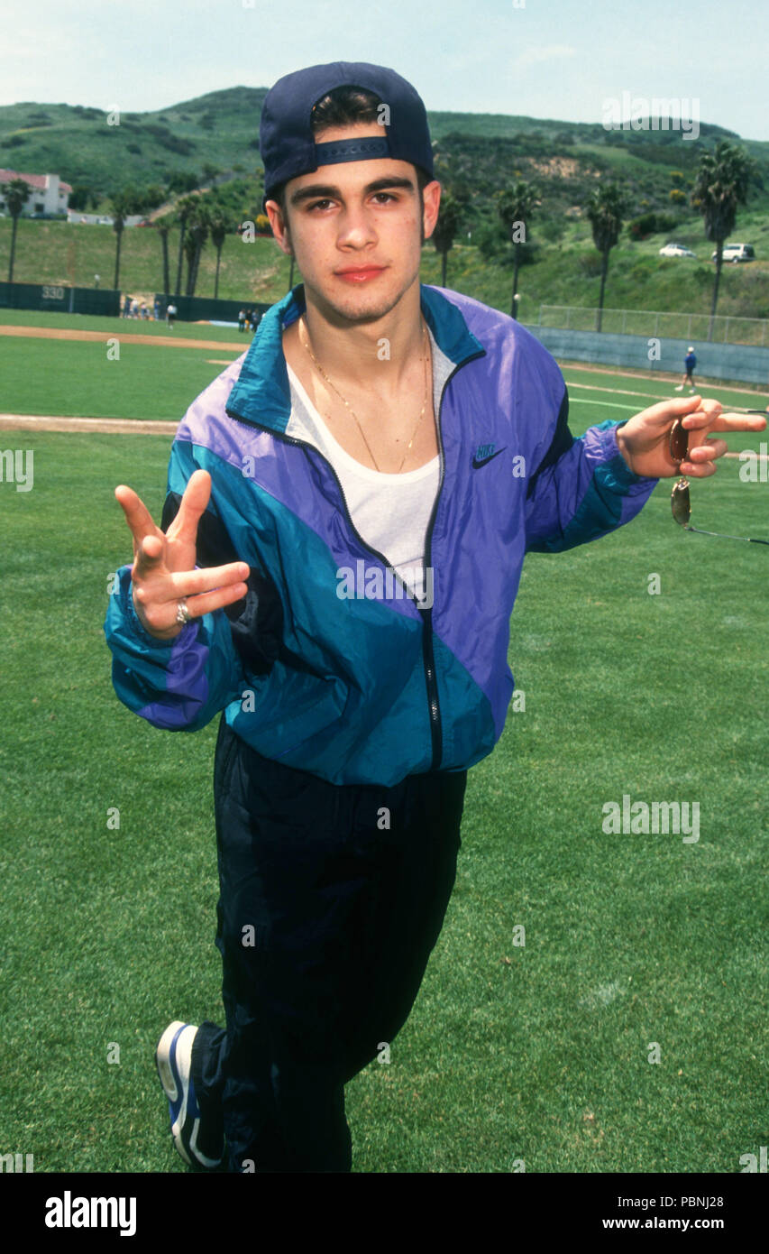 MALIBU, CA - APRIL 13: Actor Damon Pampolina attends LA Youth Network ...