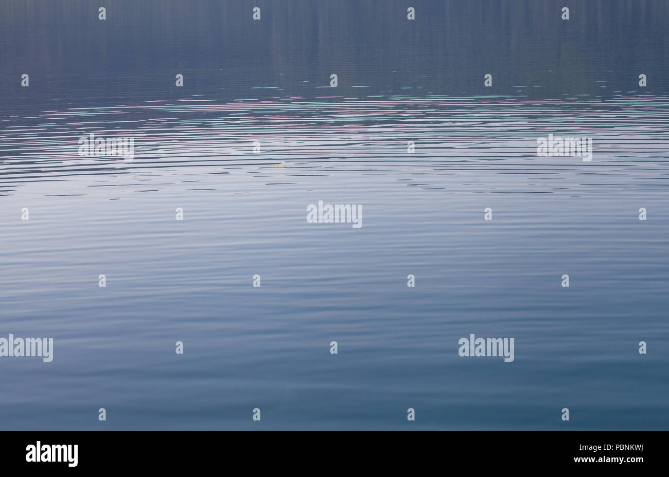 Ripple pattern hi-res stock photography and images - Alamy