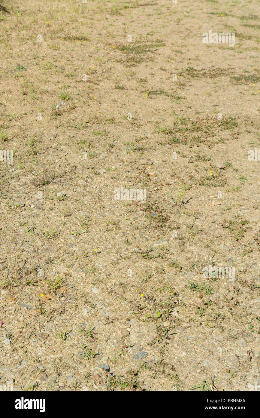 Sun-baked ground / soil during the 2022 Summer heatwave, drought in UK ...