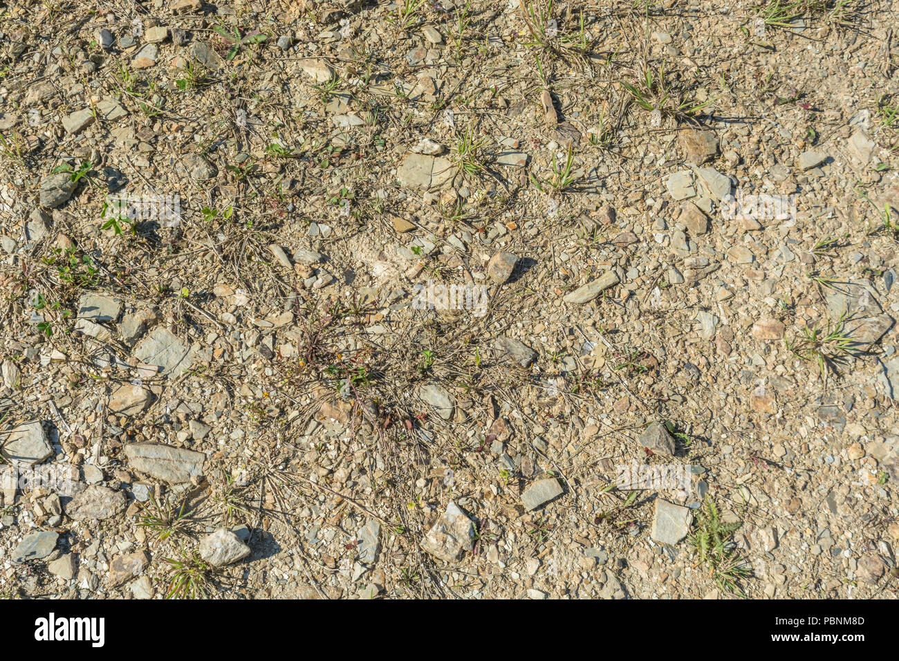 Sun Baked Soil High Resolution Stock Photography and Images - Alamy