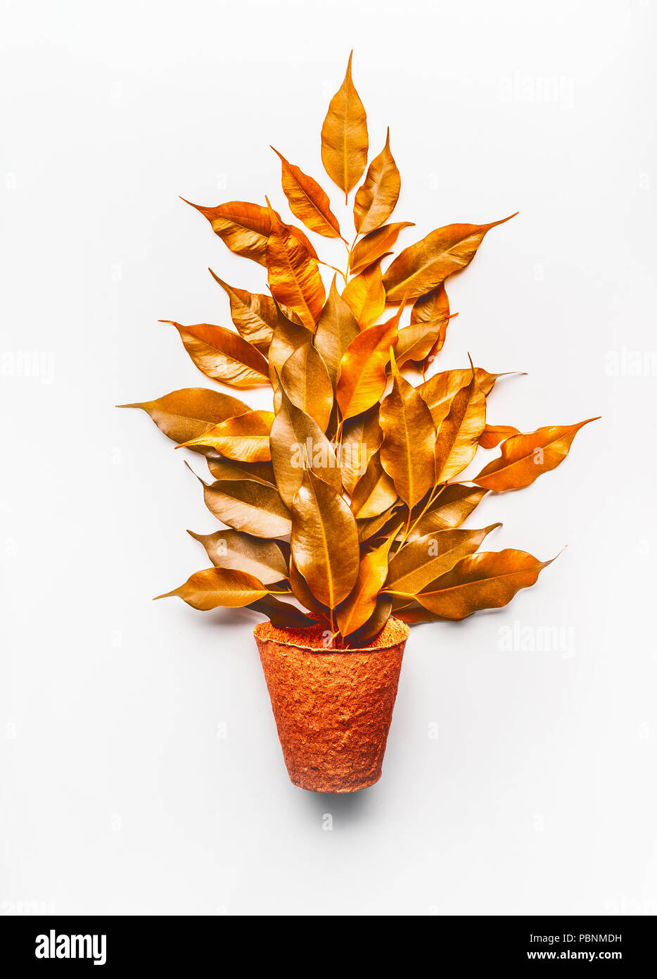 Gold autumn leaves bunch on white background, top view. Fall gardening ...