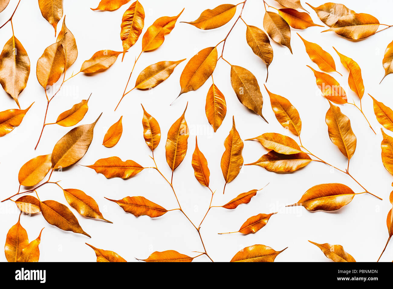 Gold autumn leaves pattern on white background, top view. Fall foliage ...