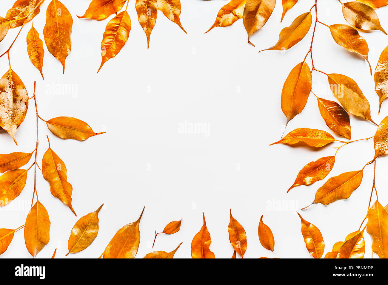 Gold autumn leaves frame on white background, top view. Fall foliage ...