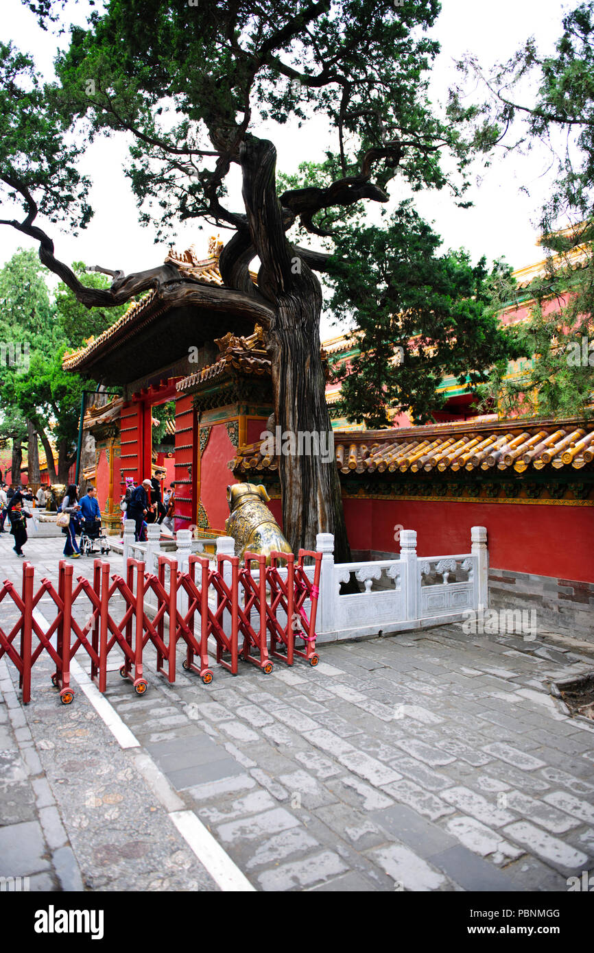 Forbidden City,Palace Museum, (Gugong),Tiananmen Square,Beijing,People ...