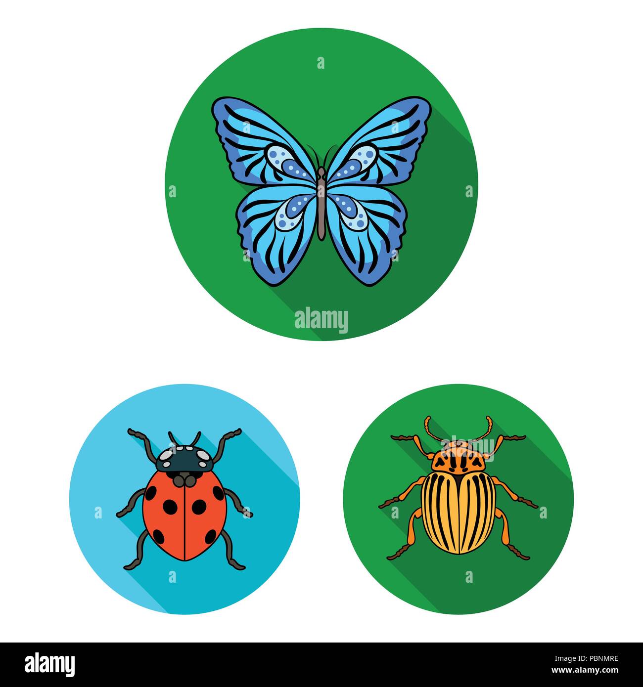 Different kinds of insects flat icons in set collection for design ...
