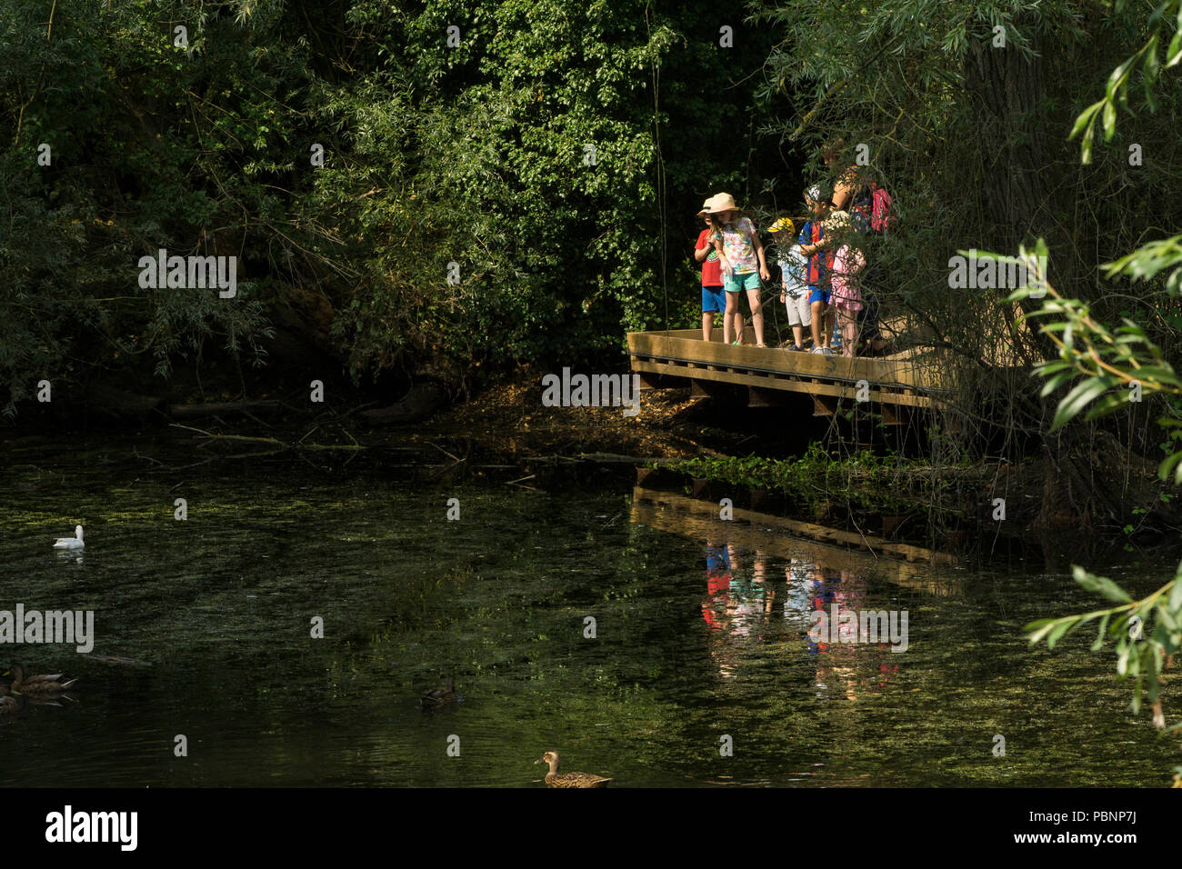 Children with lake hi-res stock photography and images - Alamy