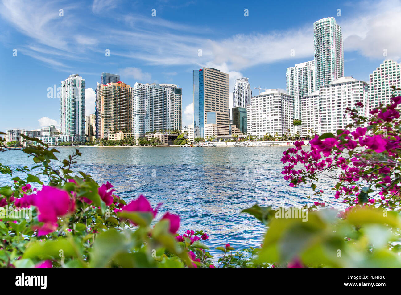 Miami Brickell waterfront buildings on Biscayne Bay Stock Photo - Alamy
