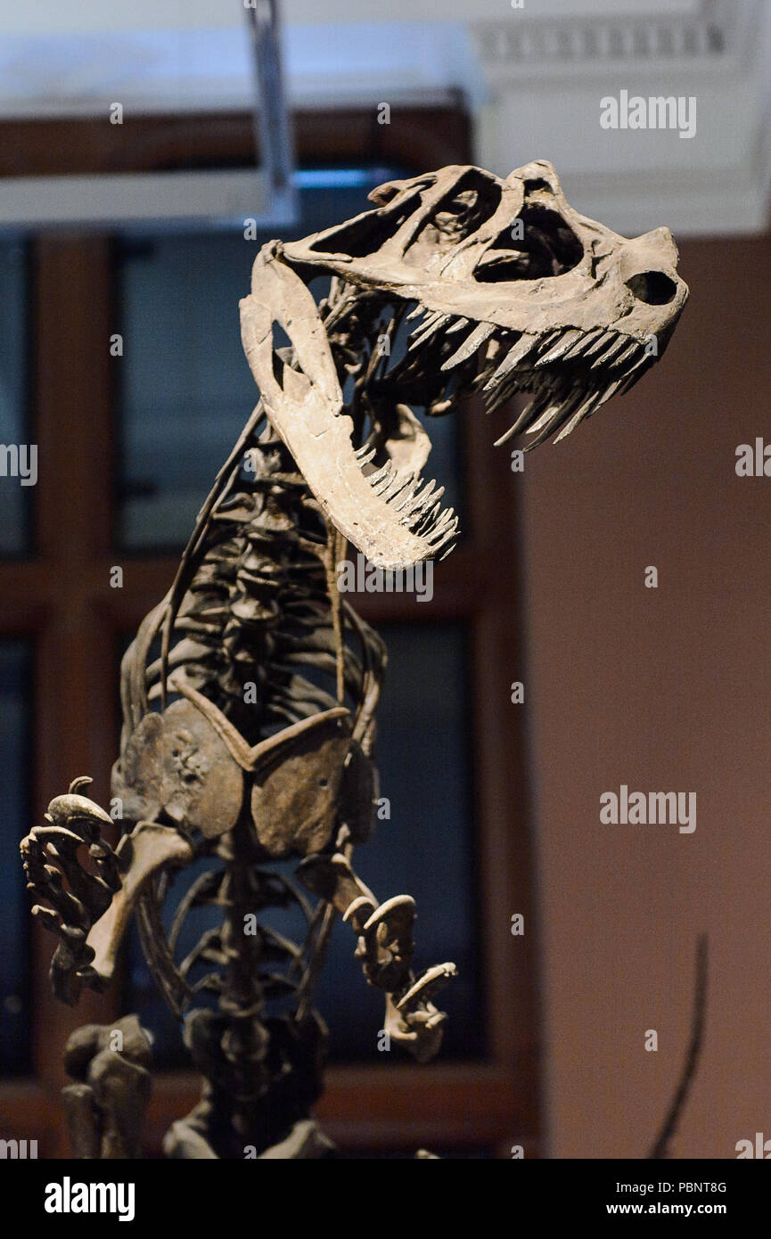 GLASGOW, SCOTLAND - JULY 16, 2016: Dinosaur sceleton in the Kelvingrove ...