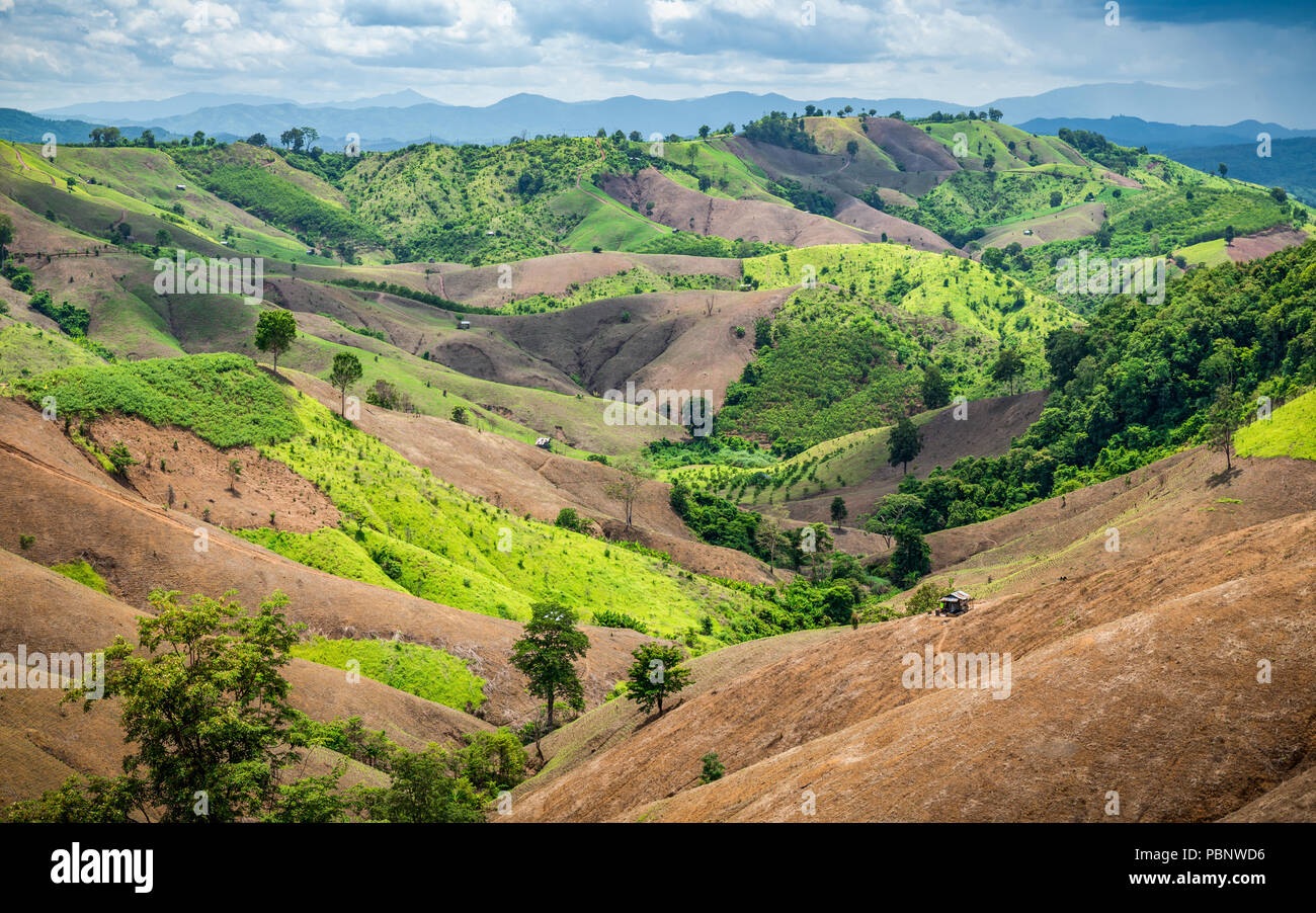 Dry mountain range remain less area of green tree inside Ampur Bo Kluea ...