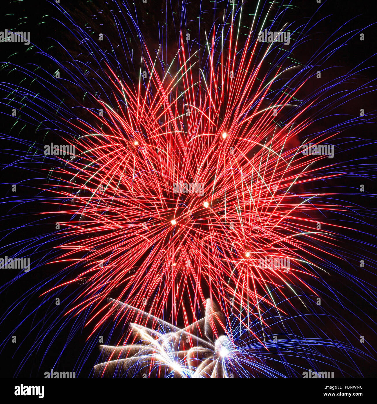 Fireworks paint the sky over Joint Forces Training Base, Los Alamitos ...