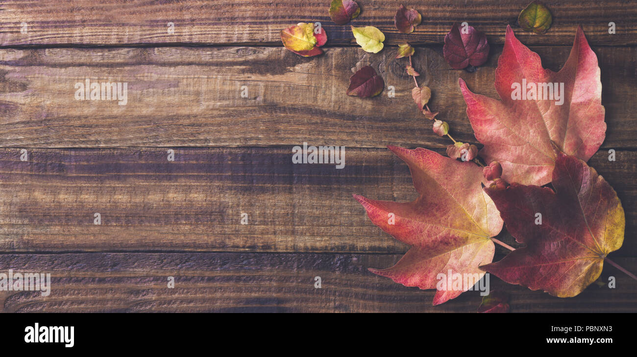 Autumn leaves over dark wooden vintage background with copy space Stock ...