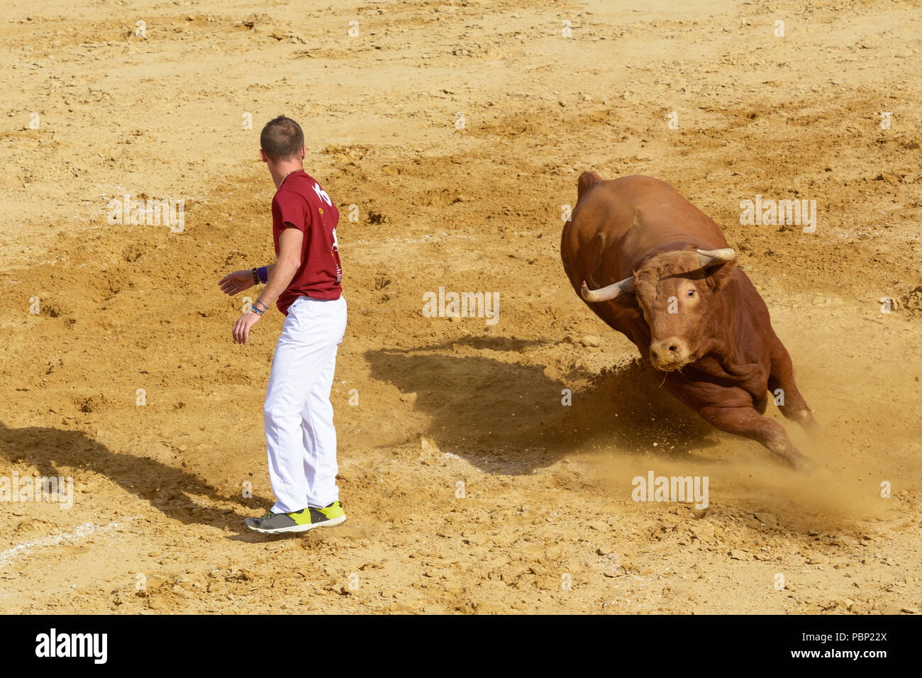 Bullfighter with bull hi-res stock photography and images - Alamy