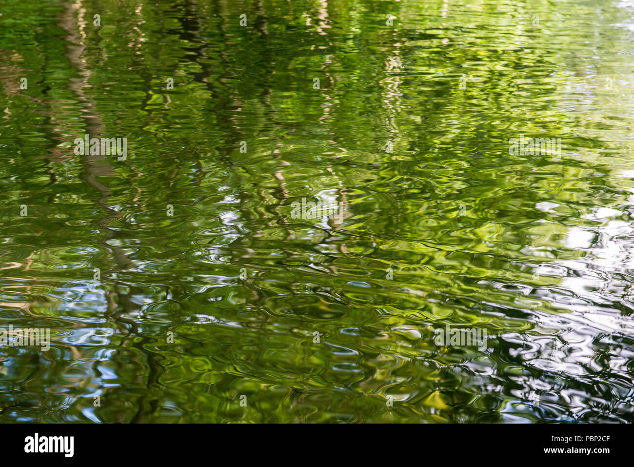 Water background pattern on a lake with trees mirroring on the water ...