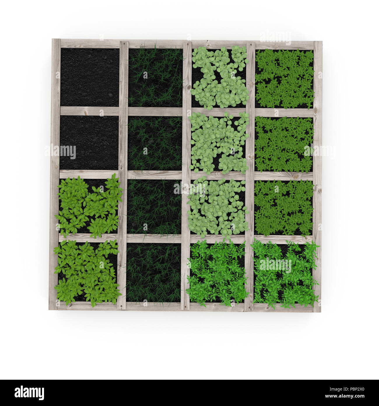 Wooden box with a young garden on white. Top view. 3D illustration ...