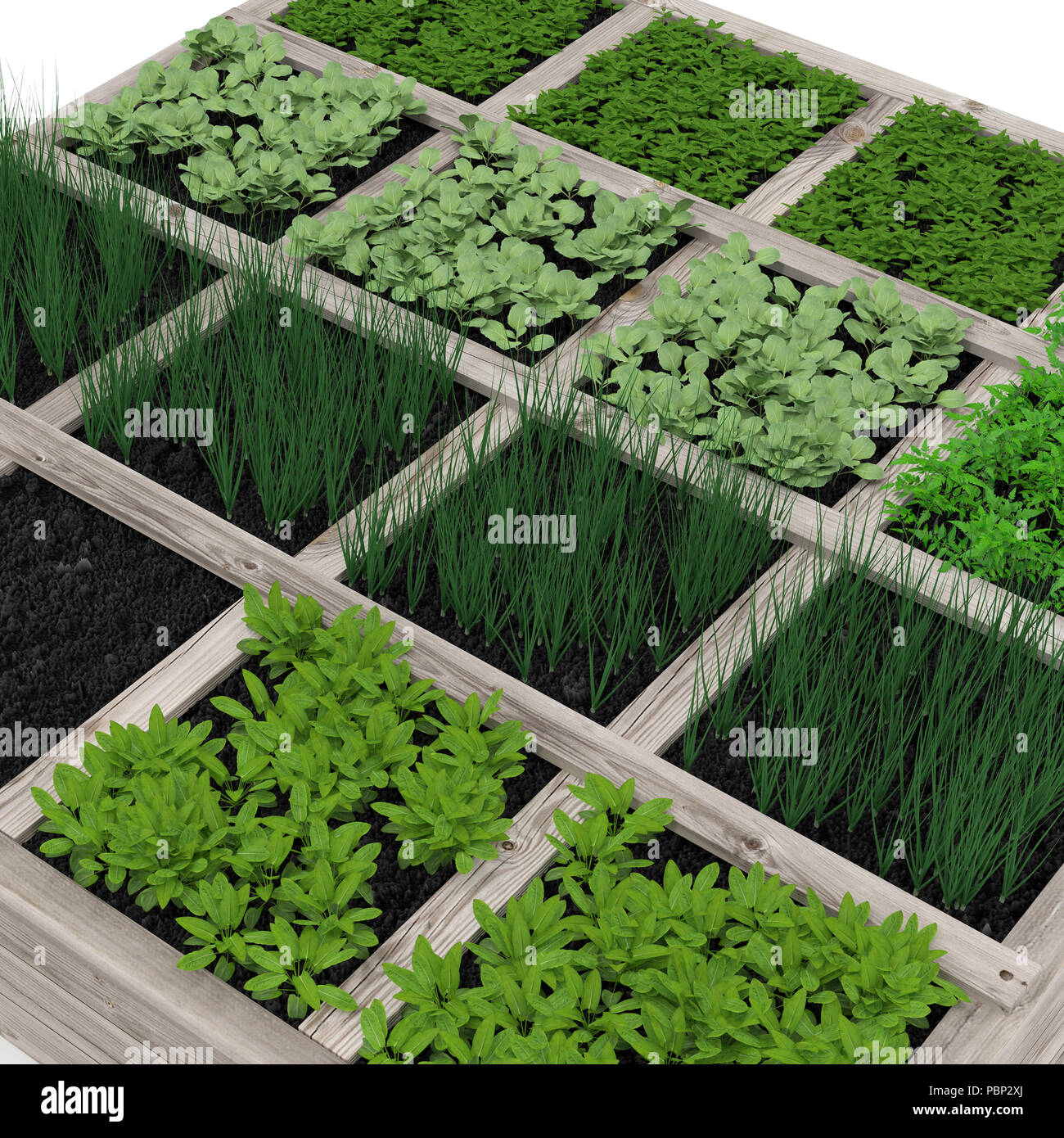 Vegetable garden with assortment vegetables and cold container on white ...