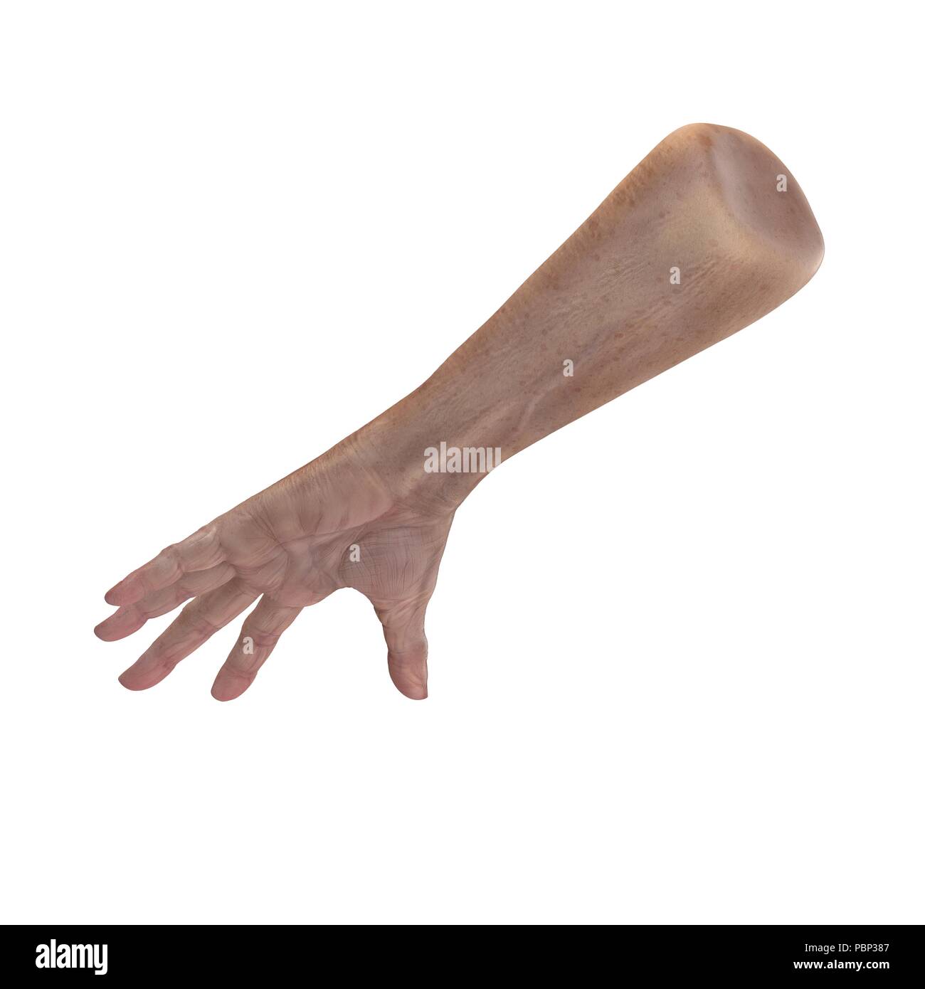 Old hand on a white. 3D illustration Stock Photo - Alamy