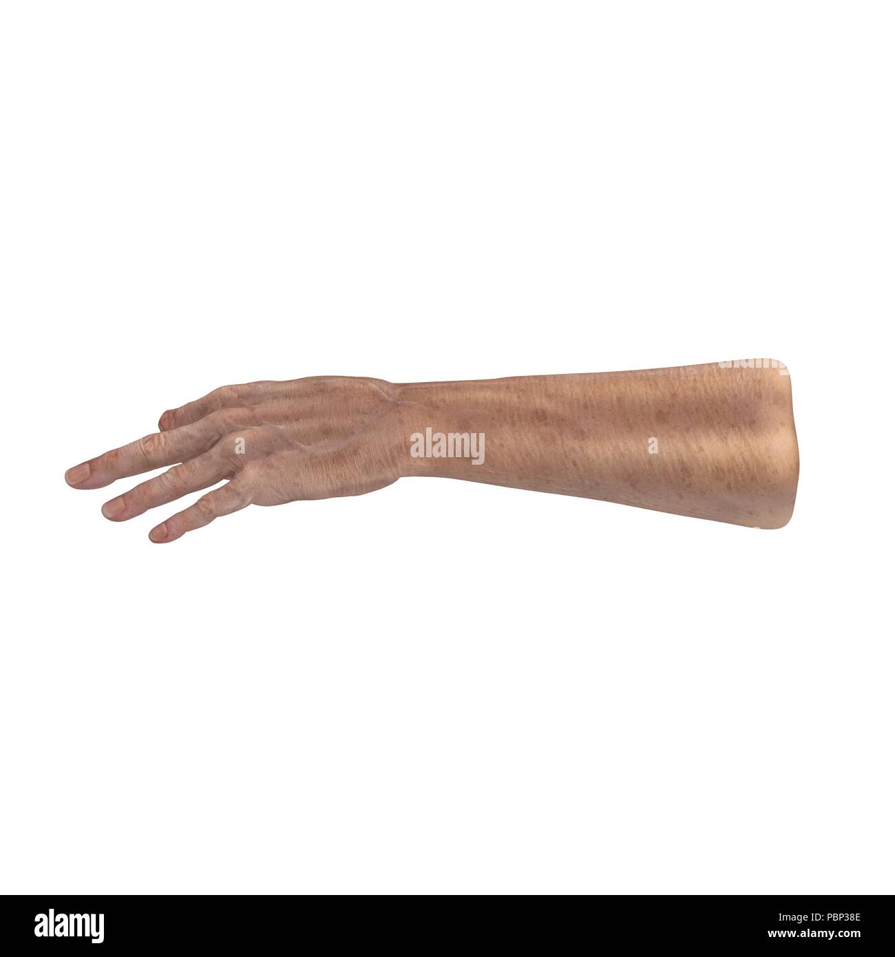 Old hand on a white. 3D illustration Stock Photo - Alamy