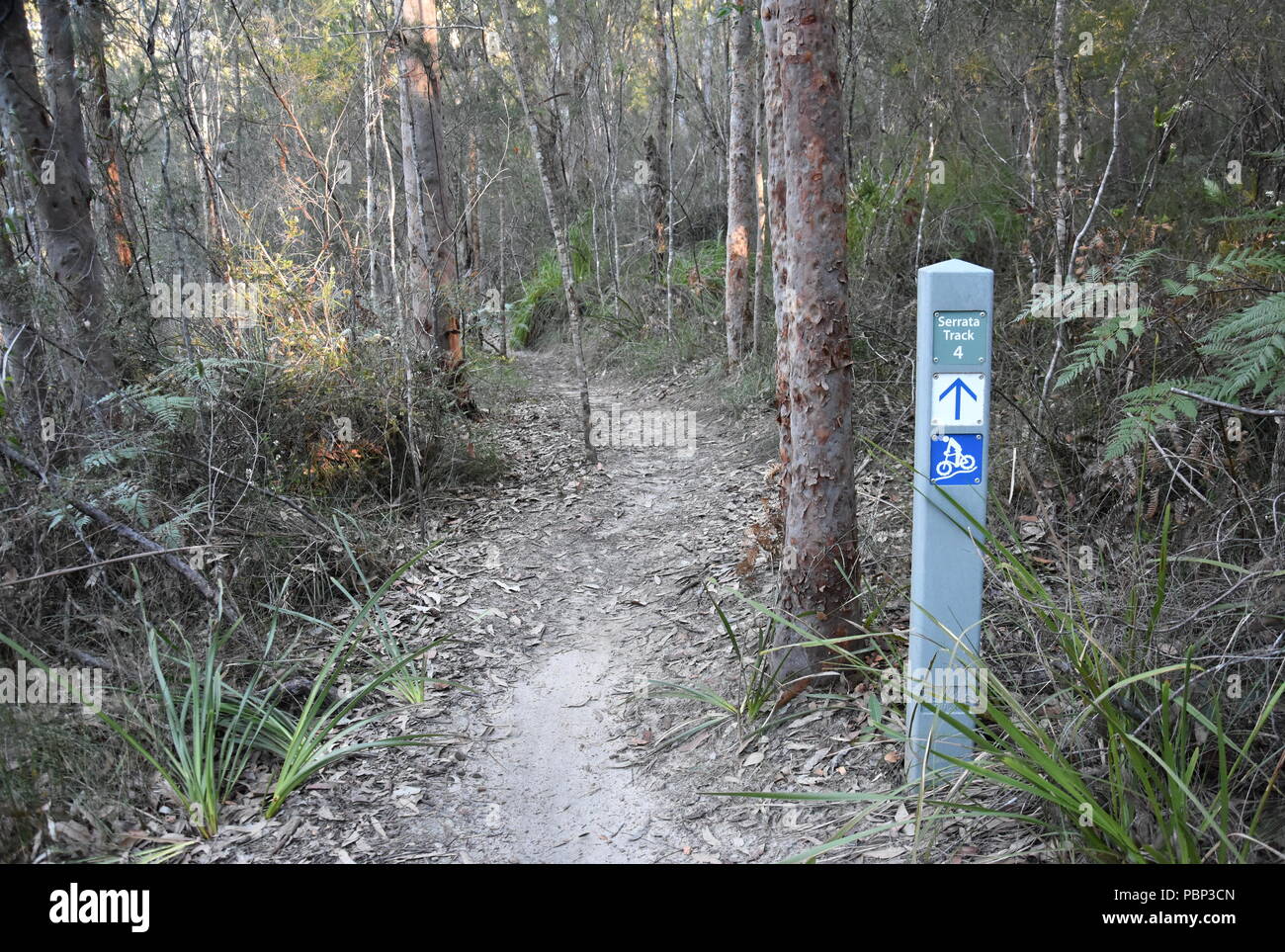 Garigal national park hi-res stock photography and images - Alamy