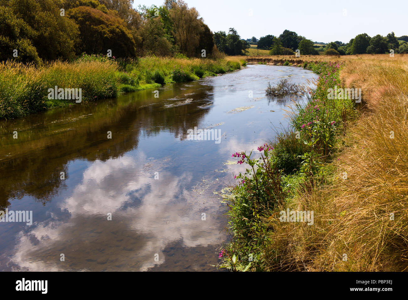 Environment restore hi-res stock photography and images - Alamy