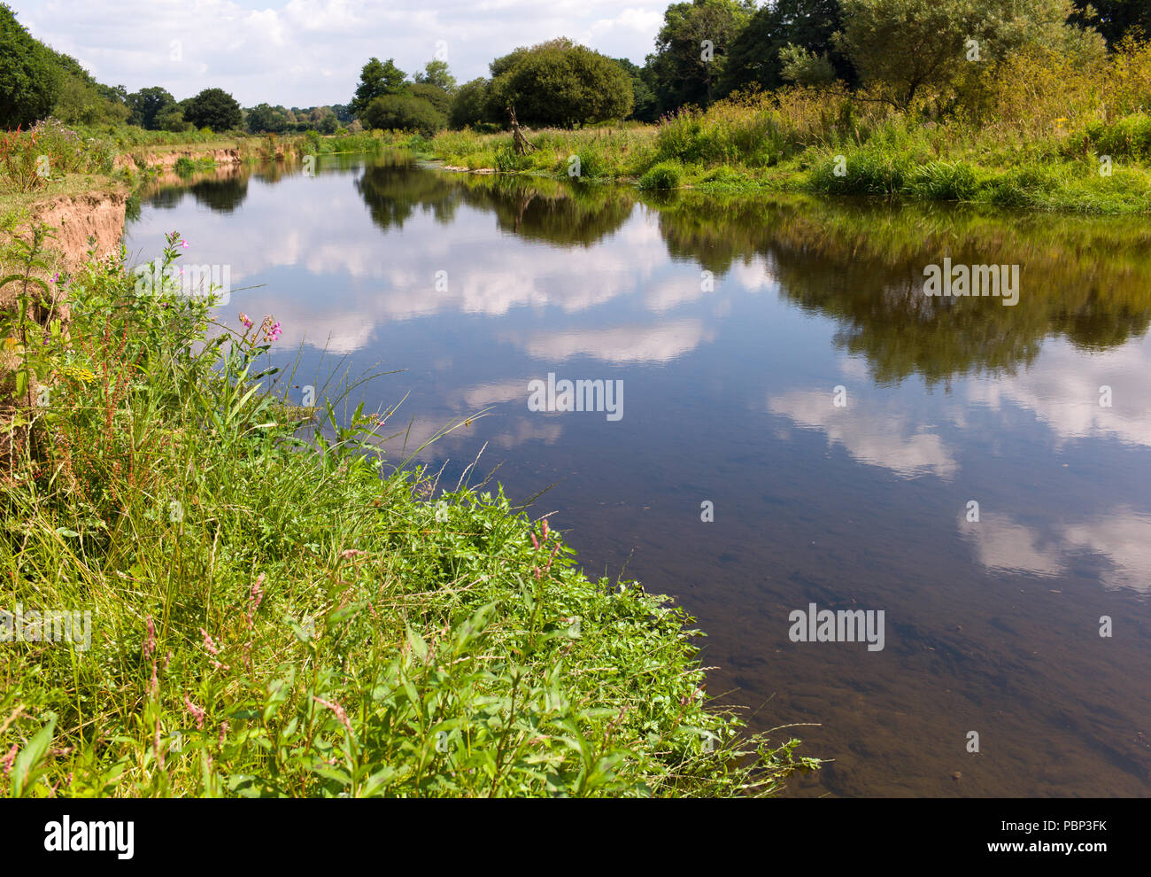 Ottery st mary river hi-res stock photography and images - Alamy