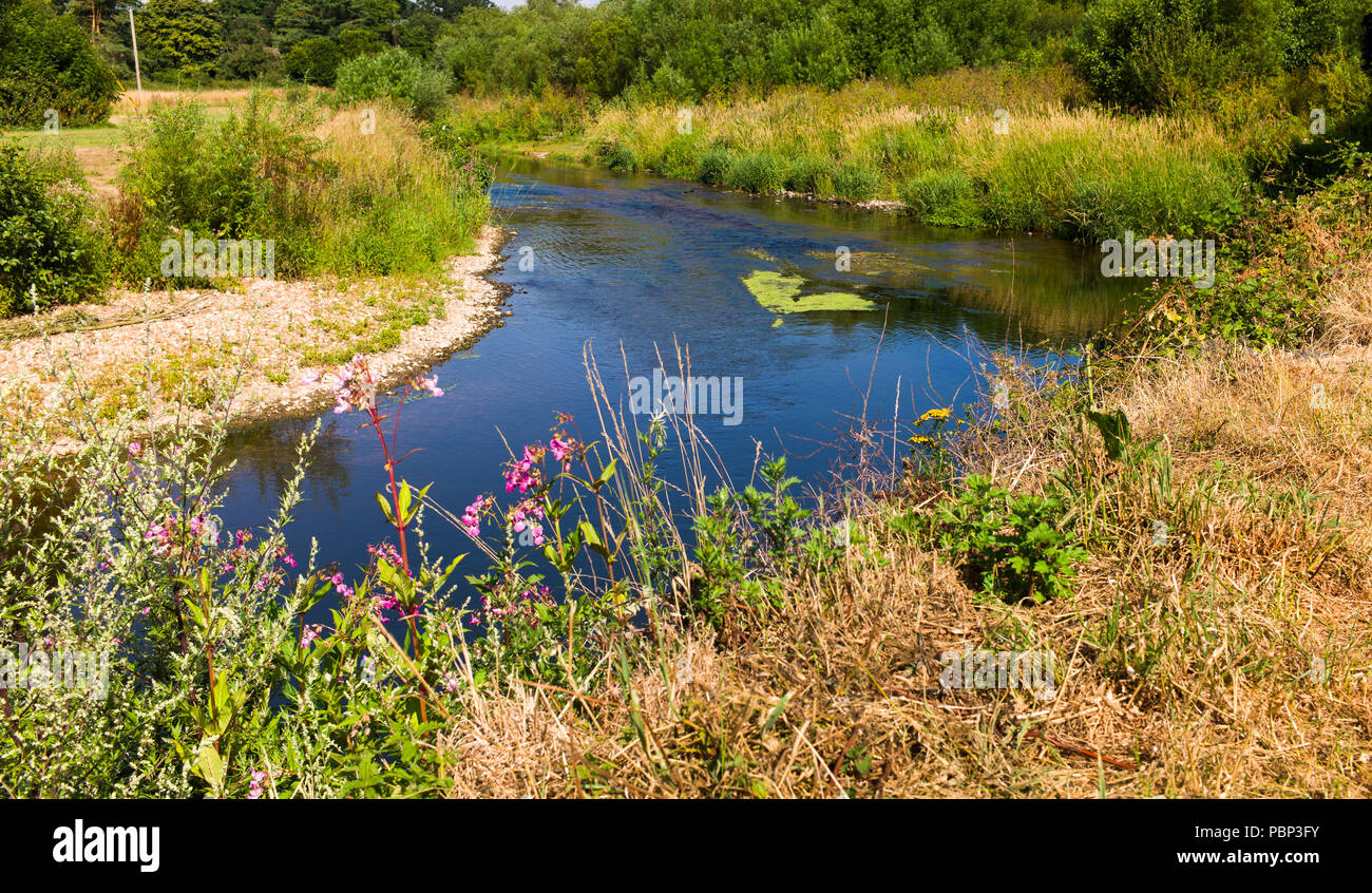 Ottery st mary devon hi-res stock photography and images - Alamy