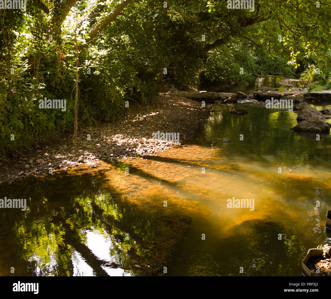 River sid hi-res stock photography and images - Alamy