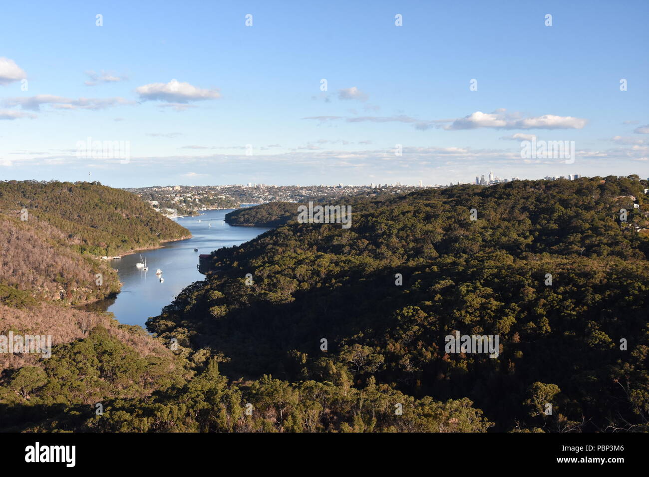 Middle Harbour, view from The Bluff lookout in Garigal National Park ...
