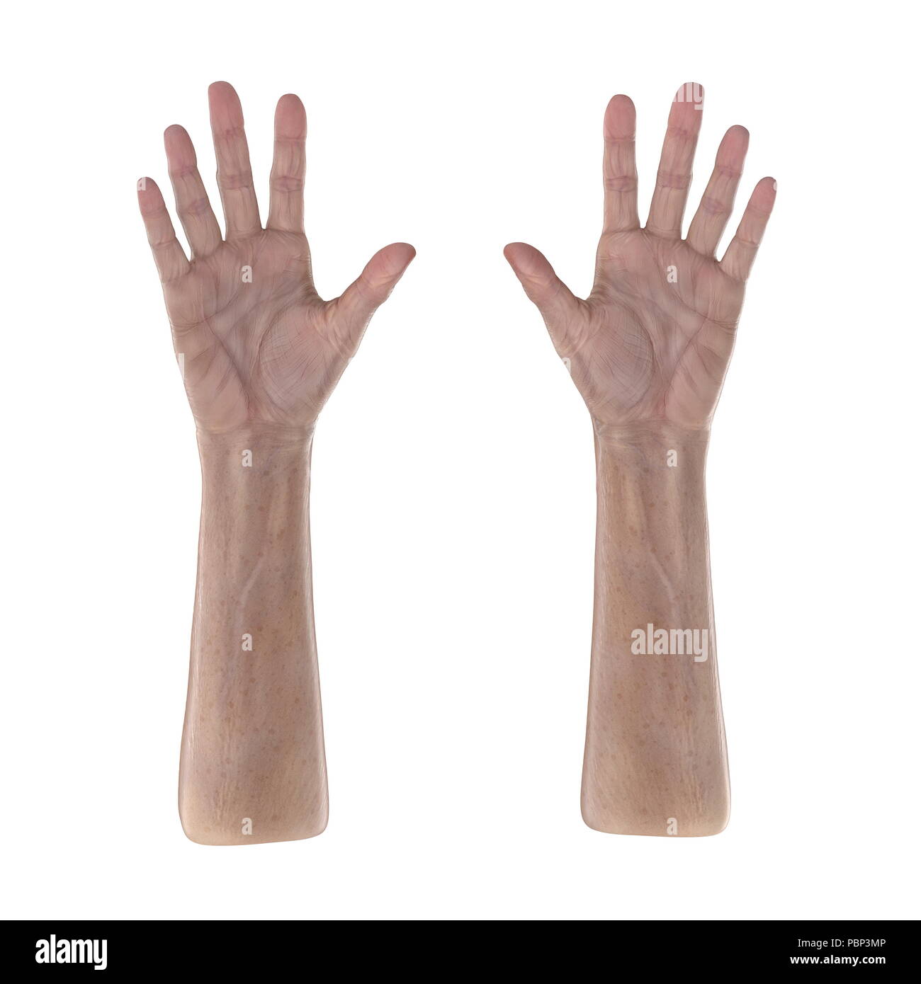 Senior hands on a white. 3D illustration Stock Photo - Alamy