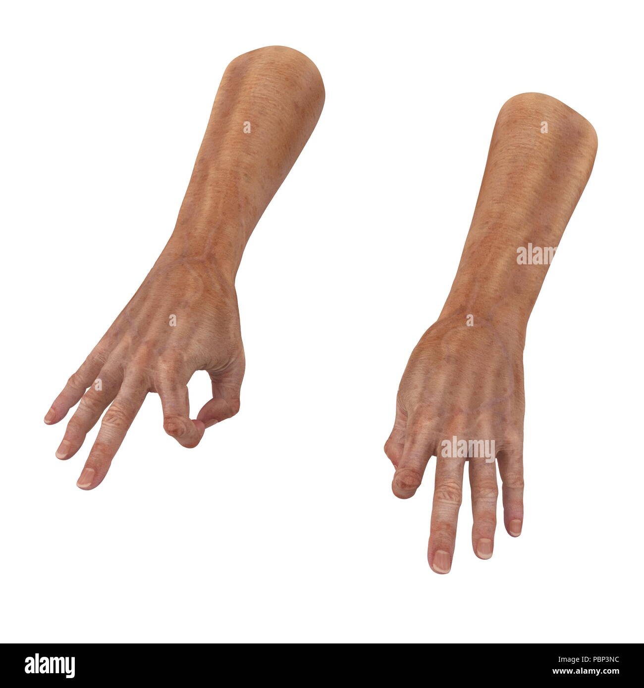 Senior hands on a white. 3D illustration Stock Photo - Alamy