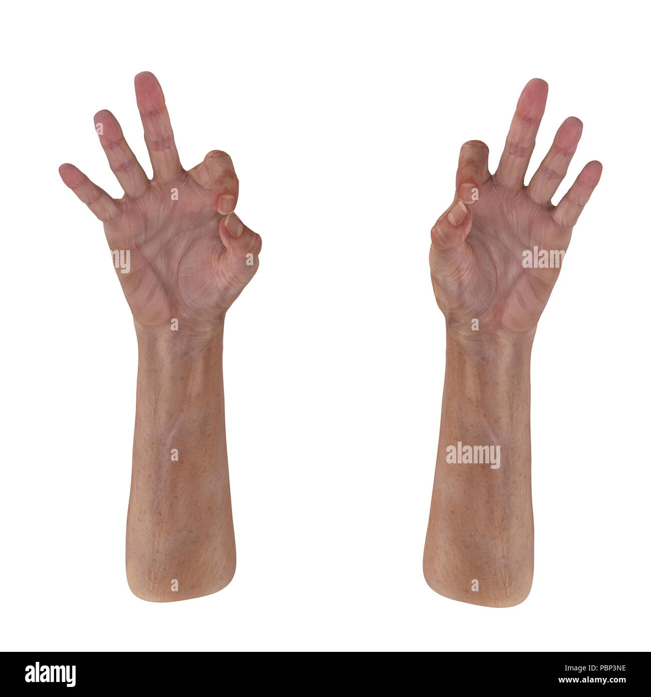 Senior hands on a white. 3D illustration Stock Photo - Alamy