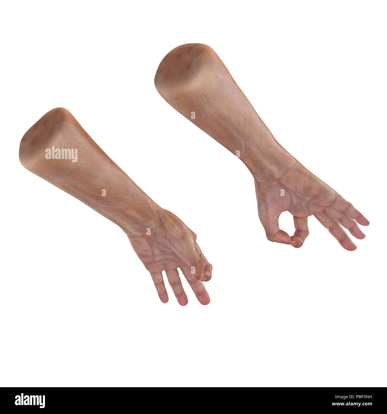 Senior hands on a white. 3D illustration Stock Photo - Alamy
