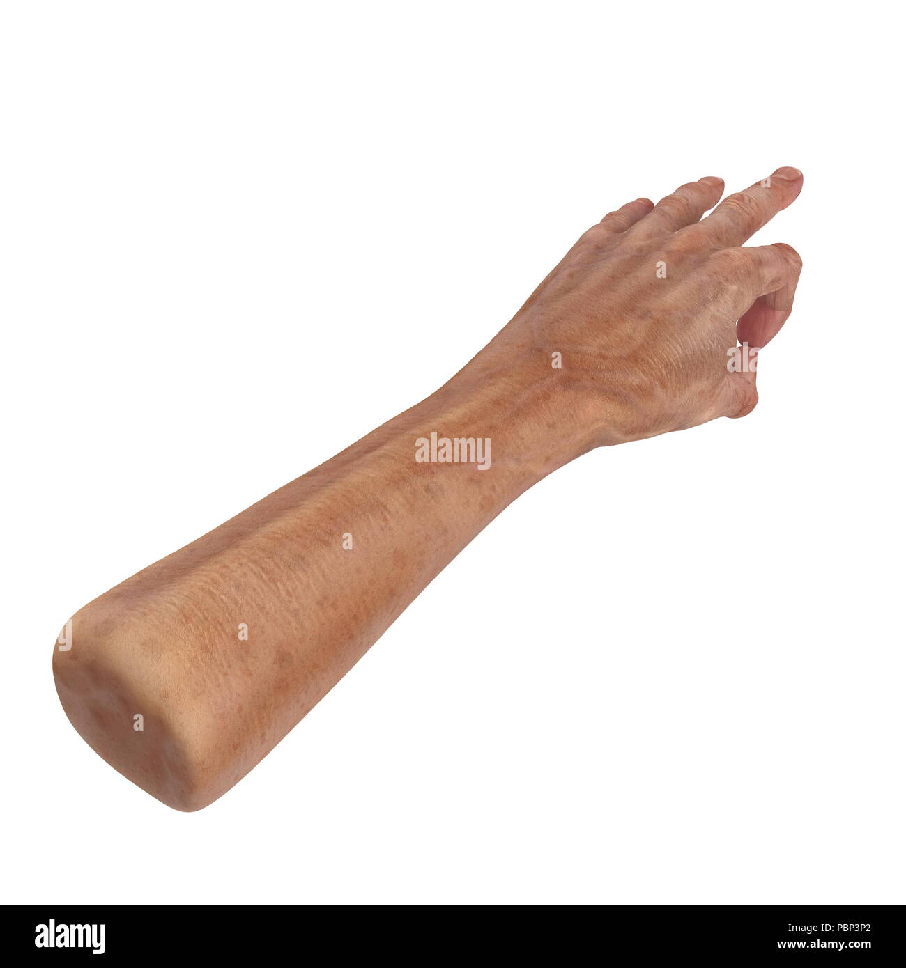Senior hands on a white. 3D illustration Stock Photo - Alamy