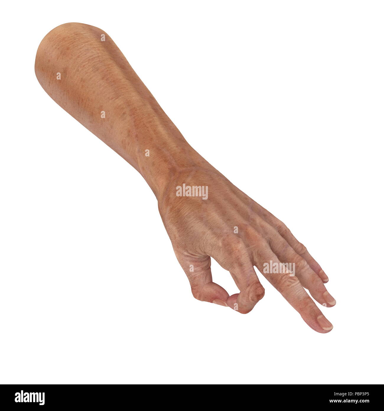 Senior hands on a white. 3D illustration Stock Photo - Alamy