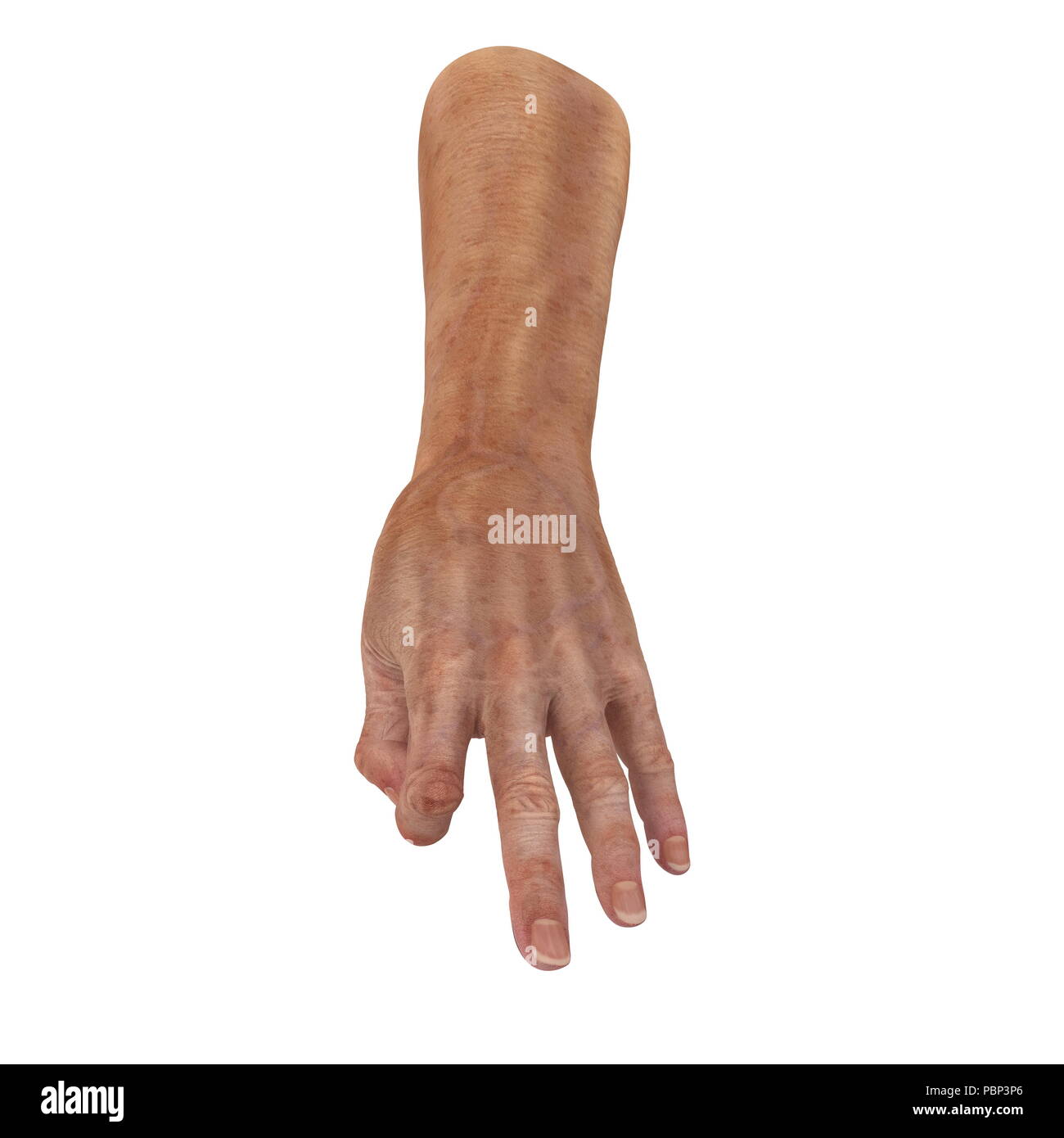 Senior hands on a white. 3D illustration Stock Photo - Alamy