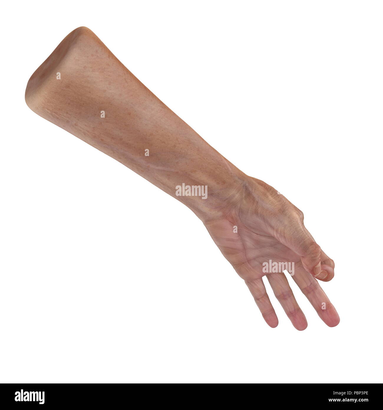 Senior hands on a white. 3D illustration Stock Photo - Alamy