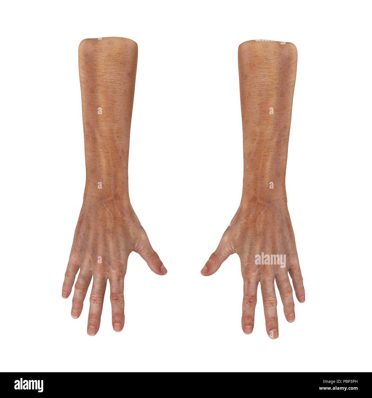 Senior hands on a white. 3D illustration Stock Photo - Alamy
