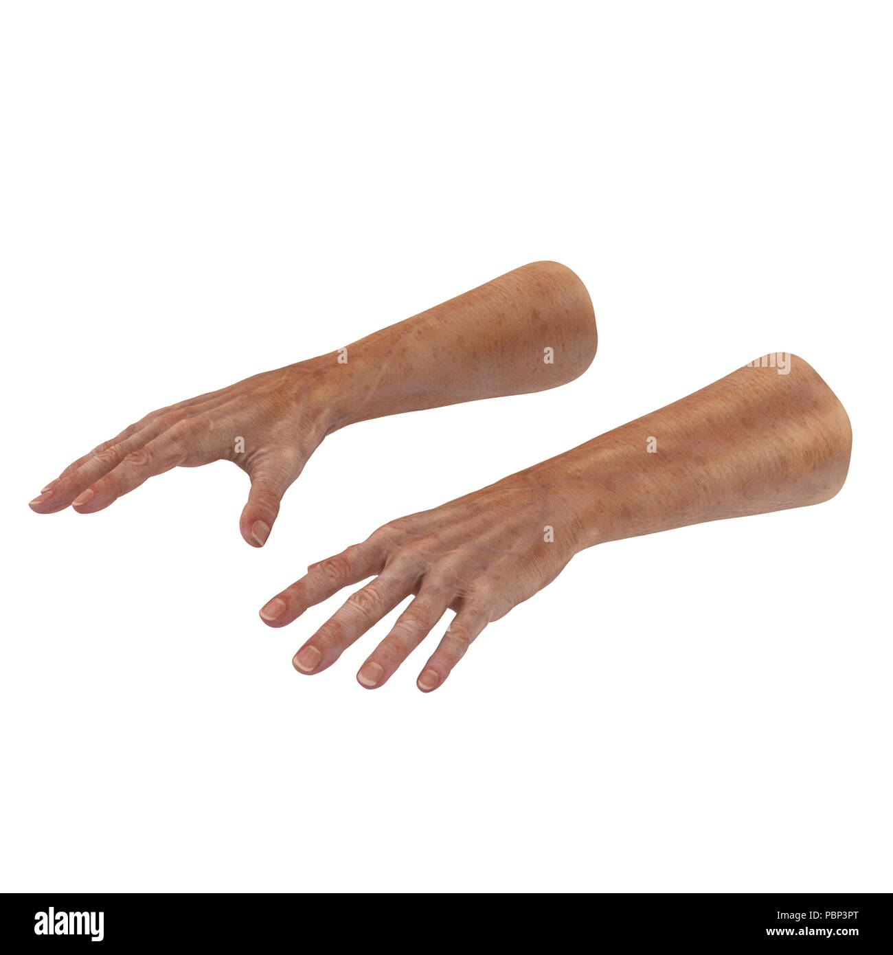 Senior hands on a white. 3D illustration Stock Photo - Alamy