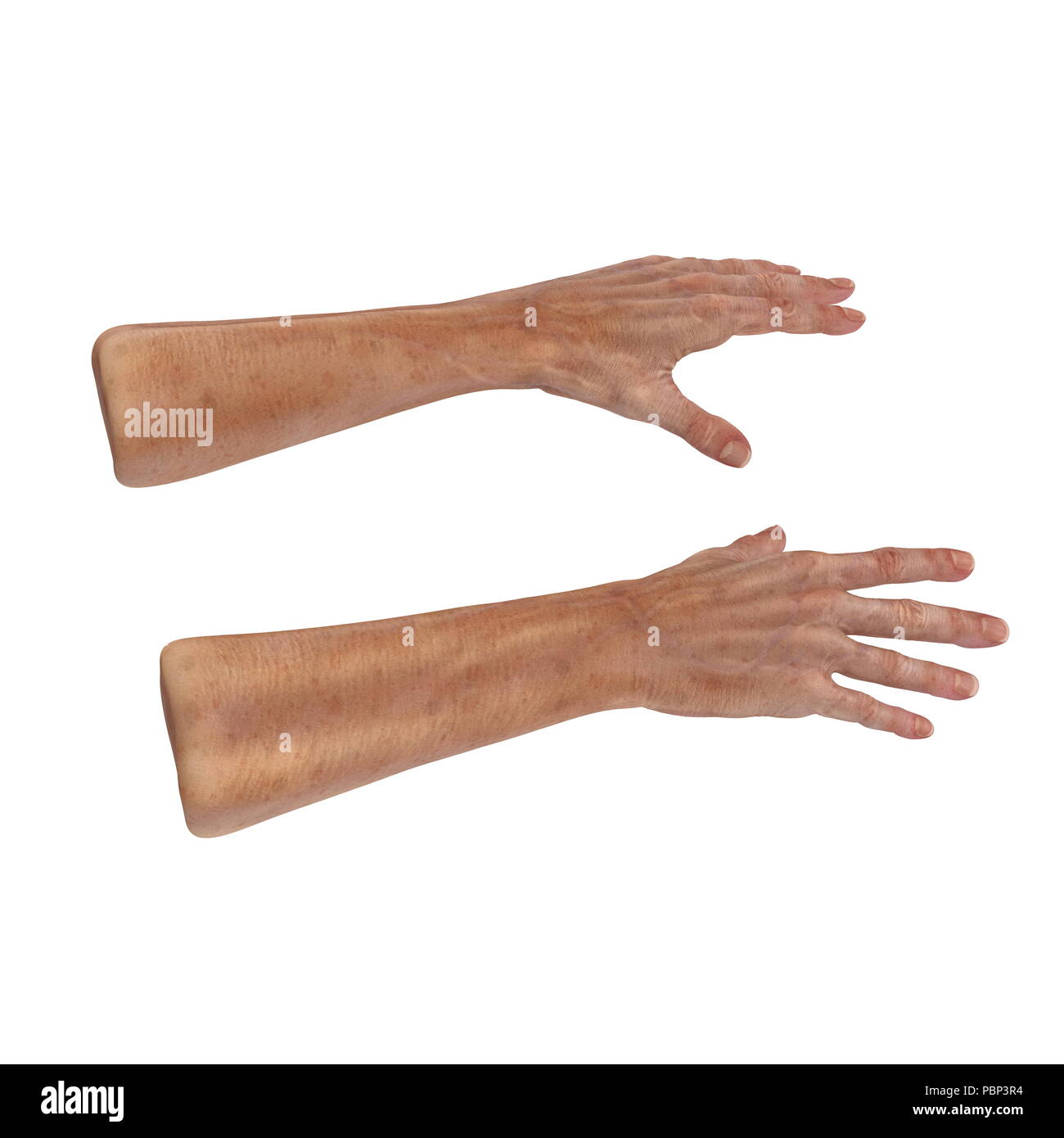 Senior hands on a white. 3D illustration Stock Photo - Alamy