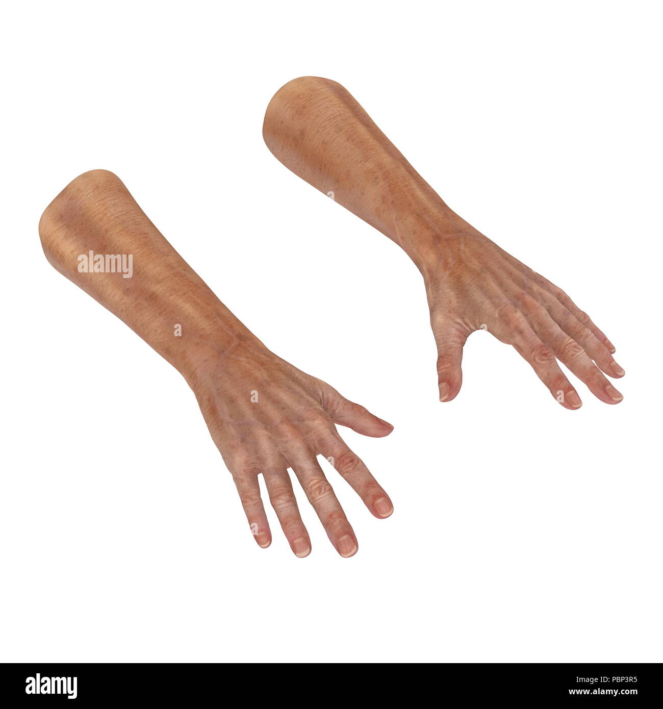Senior hands on a white. 3D illustration Stock Photo - Alamy